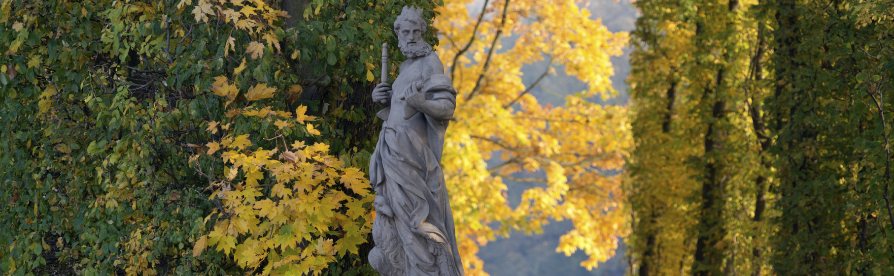 Natural resources - Museum of King Jan III's Palace at Wilanów